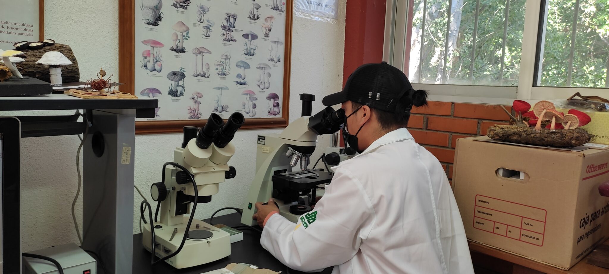 GALERÍA – Licenciatura en Biología